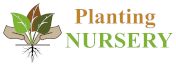 Planting Nursery | Production And Inventory Management