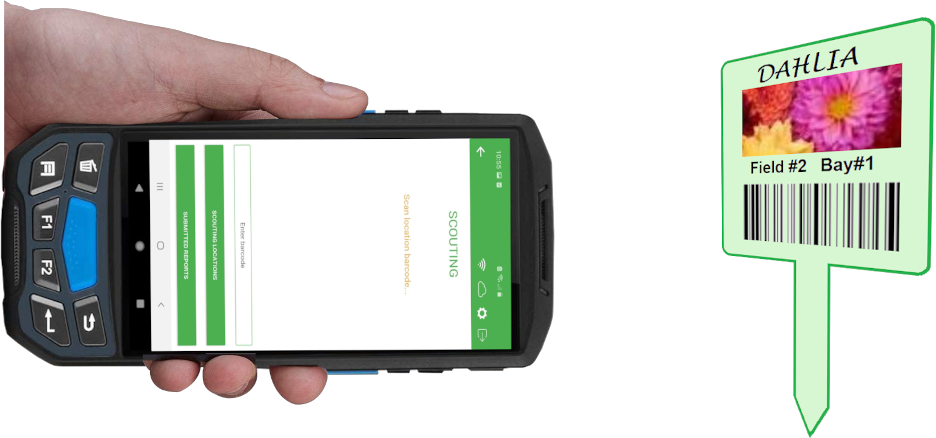 Planting Nursery | Production And Inventory Management